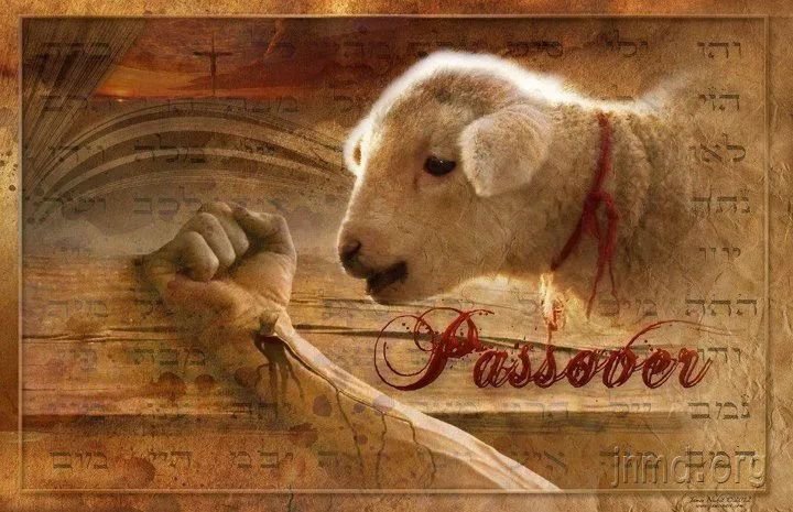 The Passover Lamb of Jesus in the Book of Exodus - Chinese Church of Iowa City