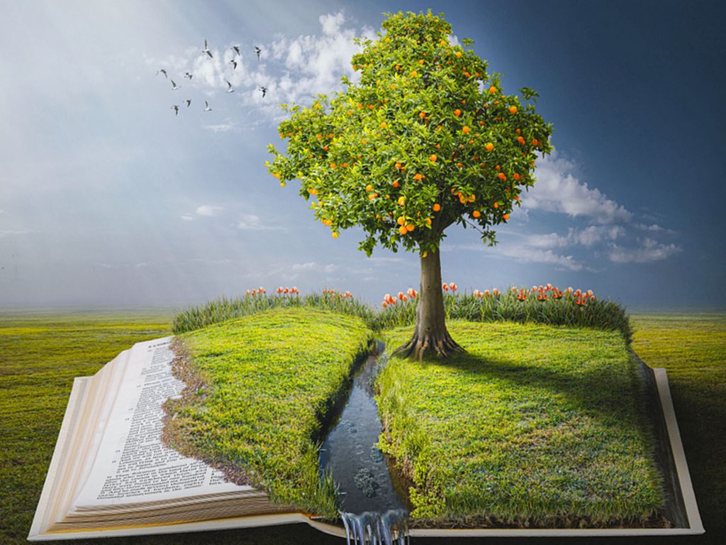 The Tree of Life - Chinese Church of Iowa City